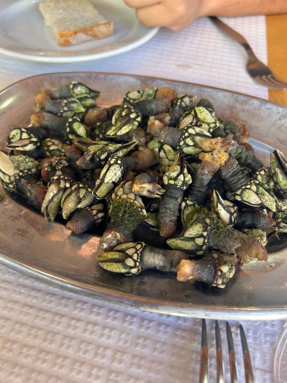 Percebes: Il tesoro delle scogliere Atlantiche - Lisbona Magazine
